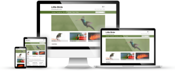 ShopFactory 14 bestellen